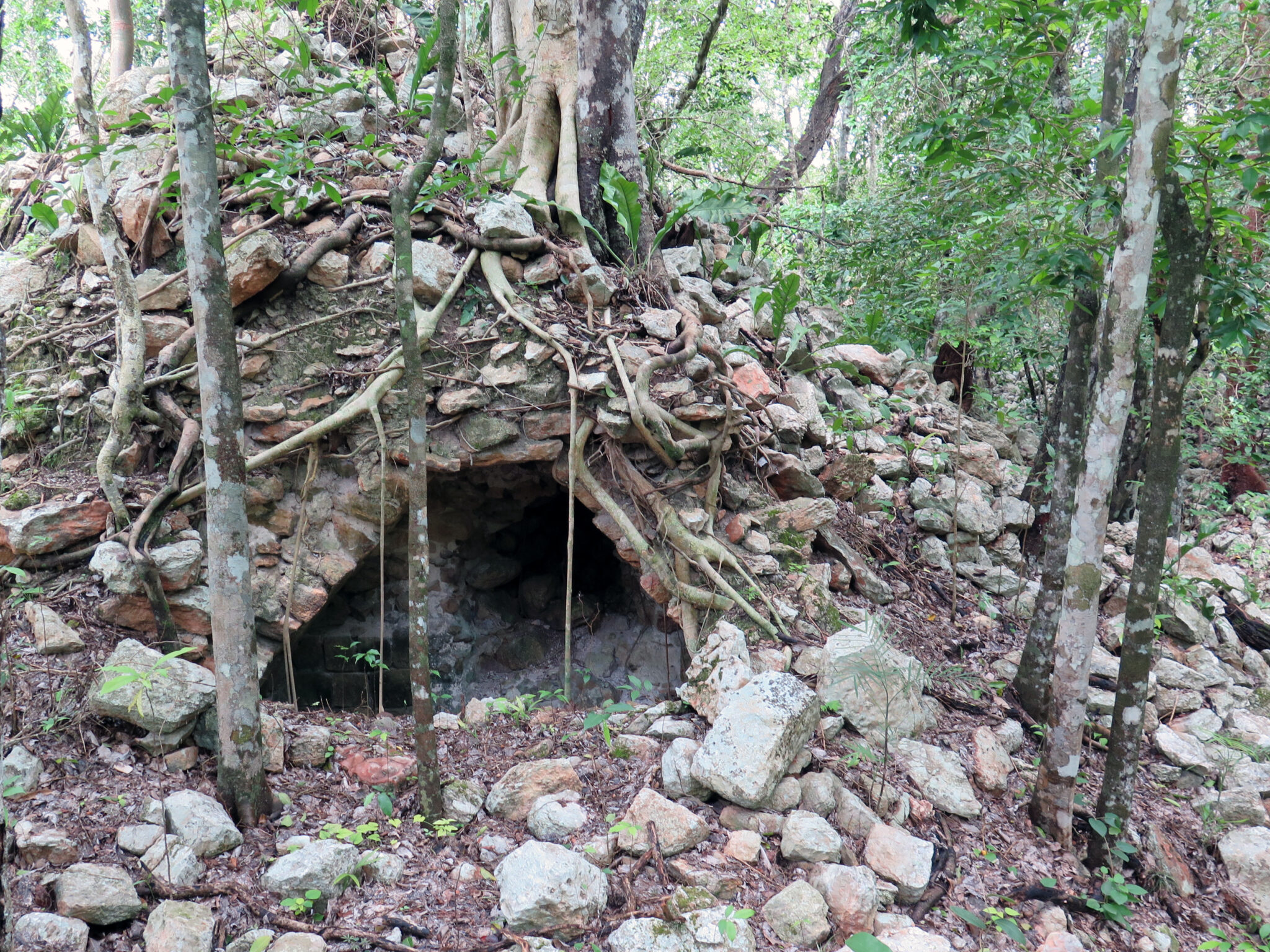 Conocer para conservar: la arquitectura maya abovedada – Editorial ...